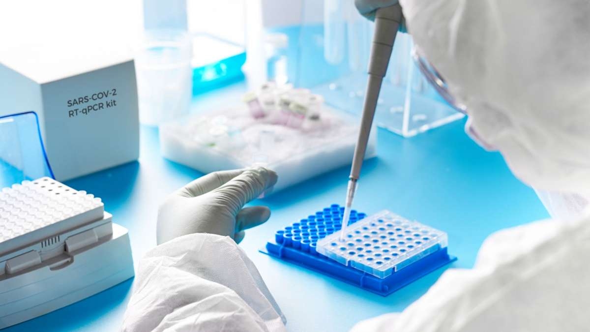 Desarrollan una nueva prueba de laboratorio para determinar el ...