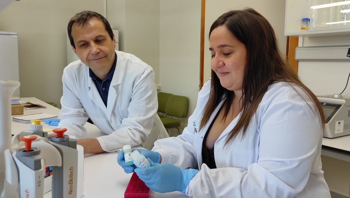 Una investigación demuestra una terapia prometedora para tratar la ...