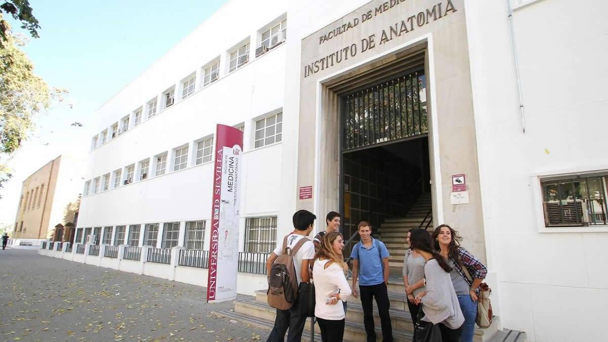 ¿Aumentar el peso del baremo académico en el MIR? Un estudio revela ...